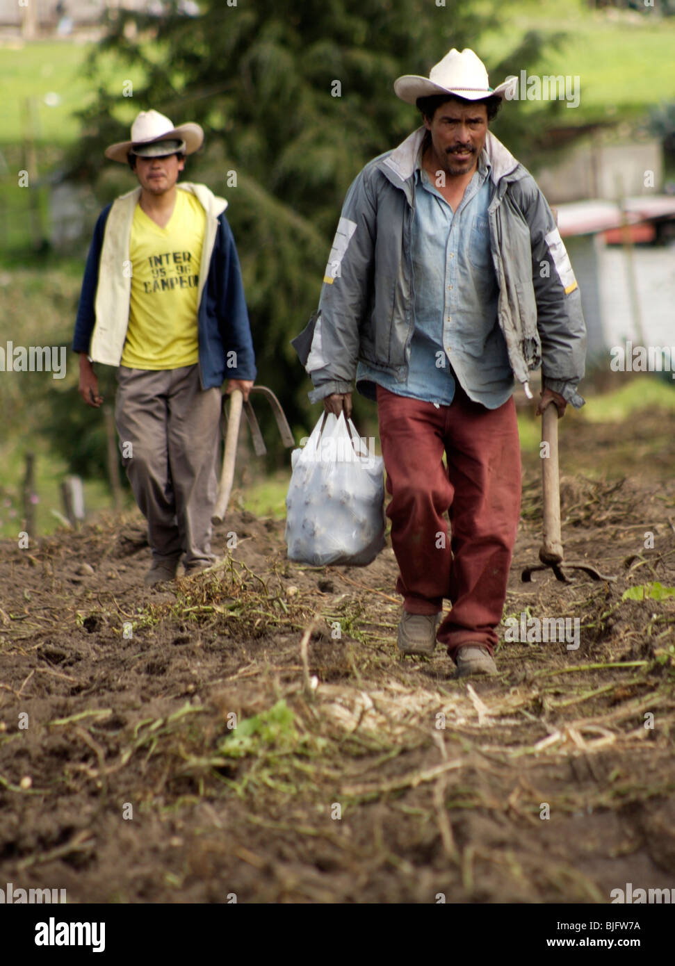 Father son farmers in field hi-res stock photography and images - Alamy