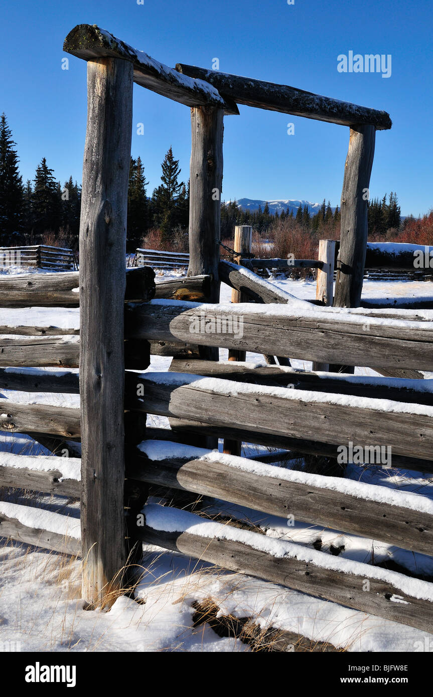 Chute gate hi-res stock photography and images - Alamy