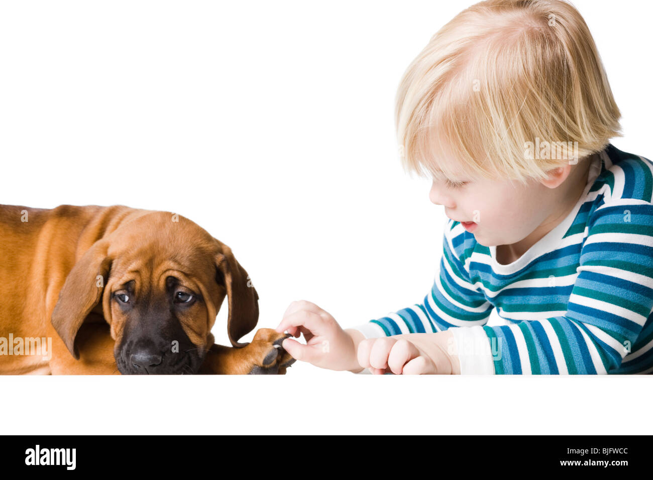 Boy with a puppy hi-res stock photography and images - Alamy