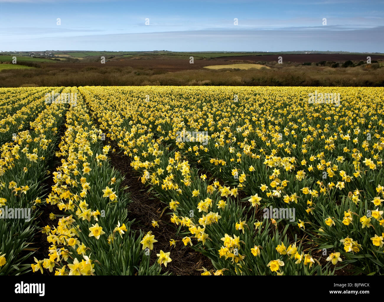 Cornwall deserted farm hi-res stock photography and images - Alamy