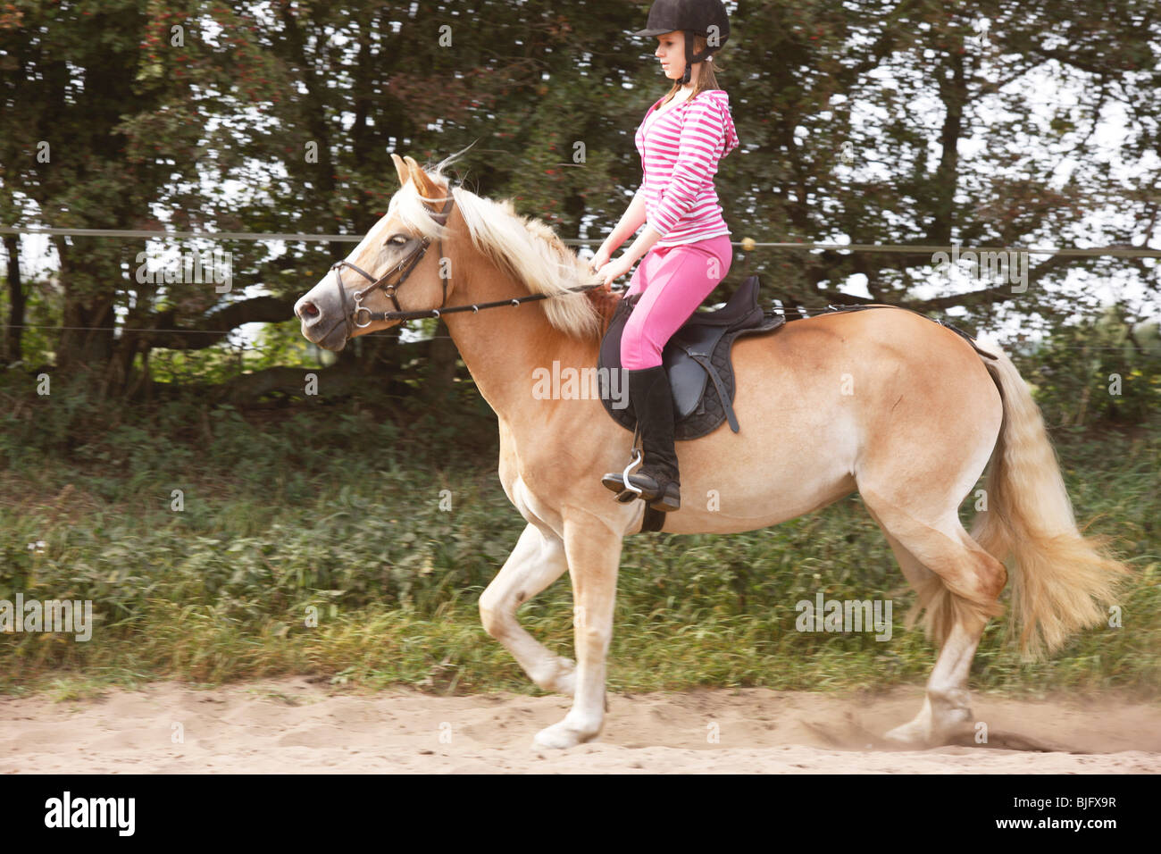 Woman horse back riding Stock Photo - Alamy