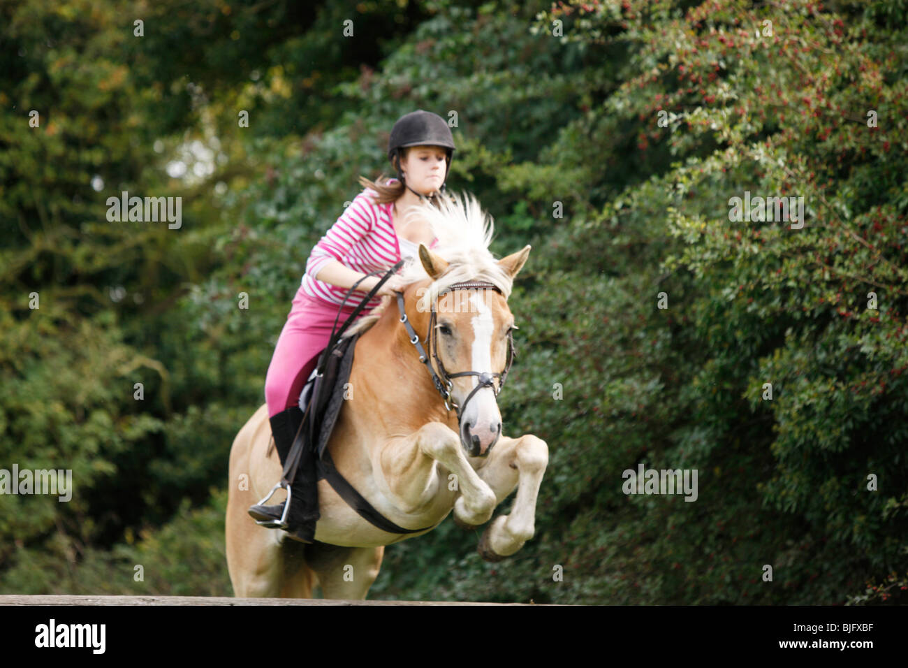 Woman horse back riding Stock Photo - Alamy