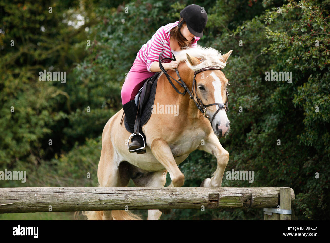 Woman horse back riding Stock Photo - Alamy