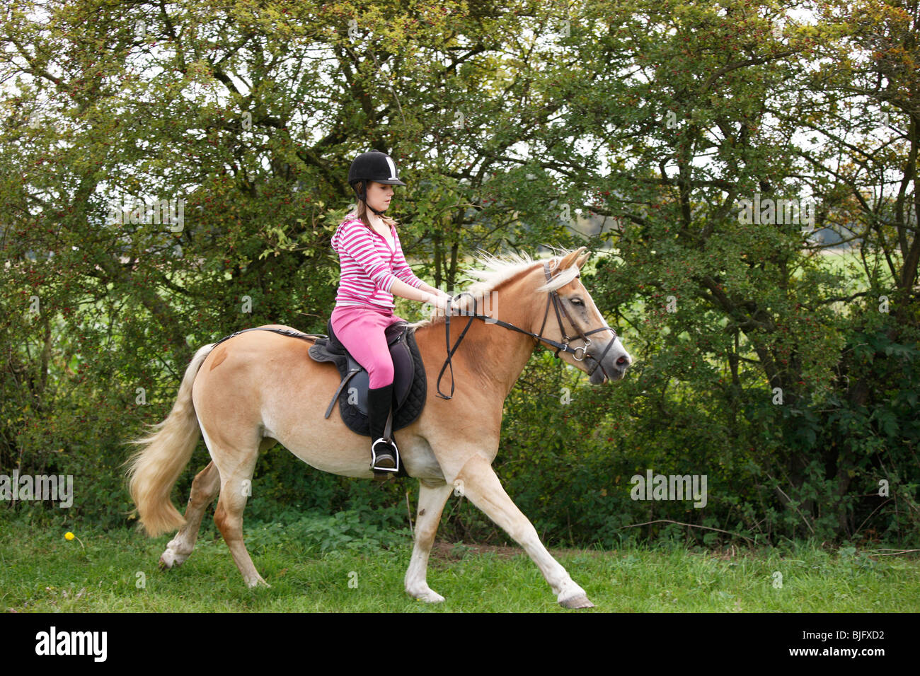 Woman horse back riding Stock Photo - Alamy