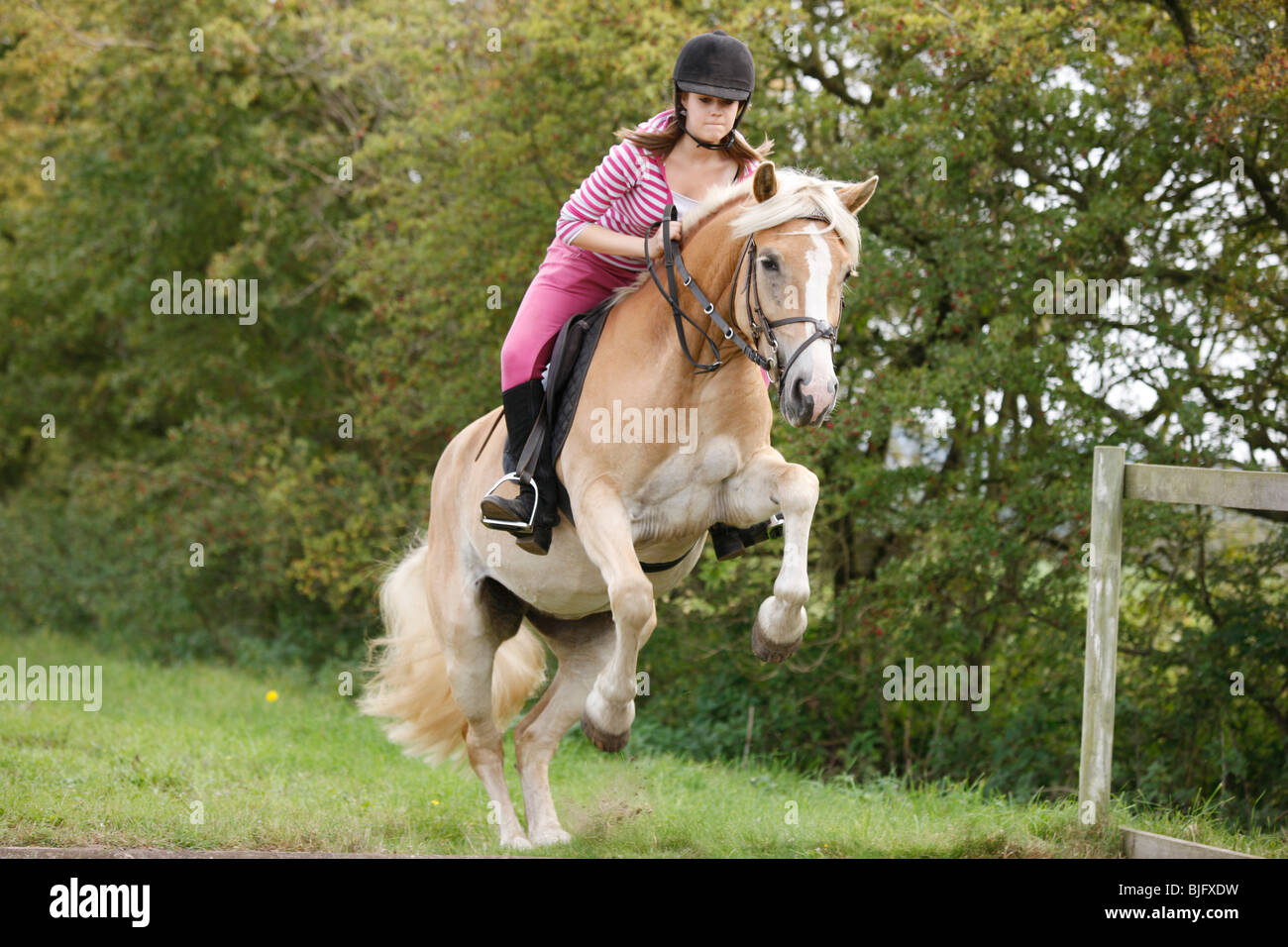 Woman horse back riding Stock Photo - Alamy