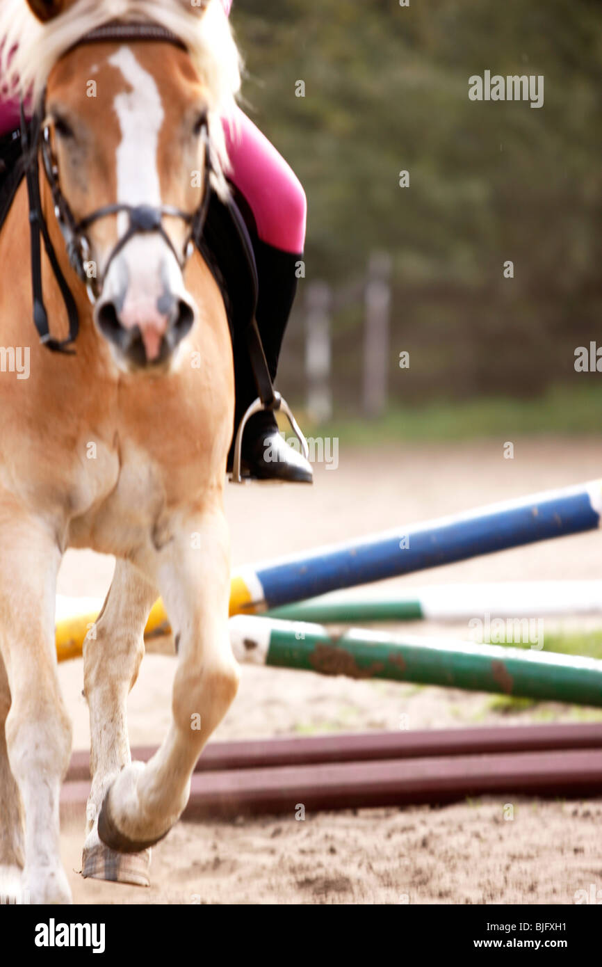 Woman horse back riding Stock Photo - Alamy