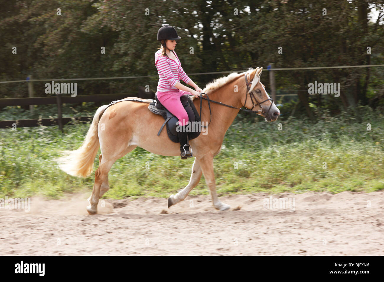 Woman horse back riding Stock Photo - Alamy