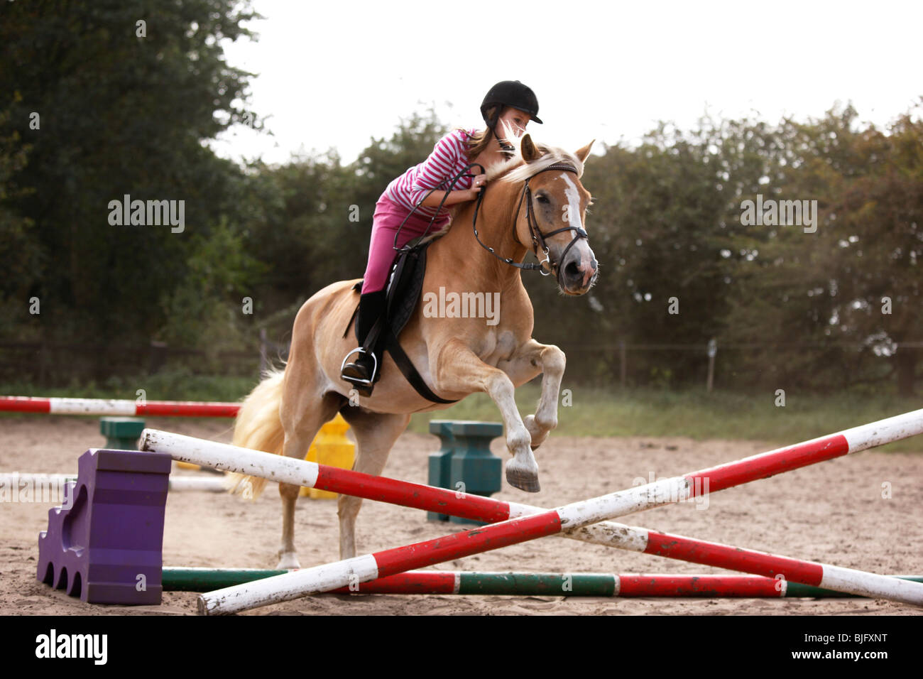 Woman horse back riding Stock Photo - Alamy
