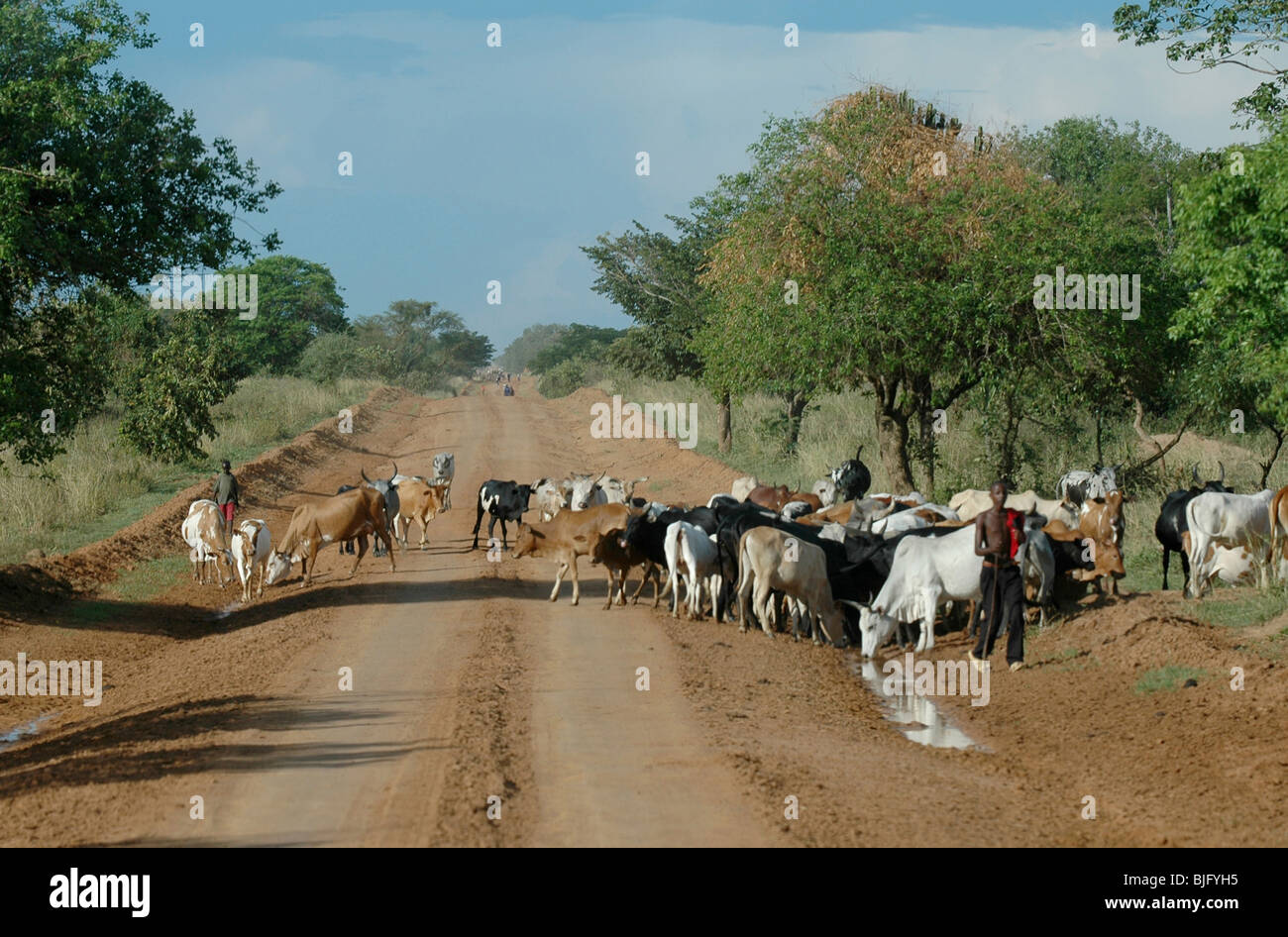 Uganda, Africa © Demelza Cloke Stock Photo - Alamy
