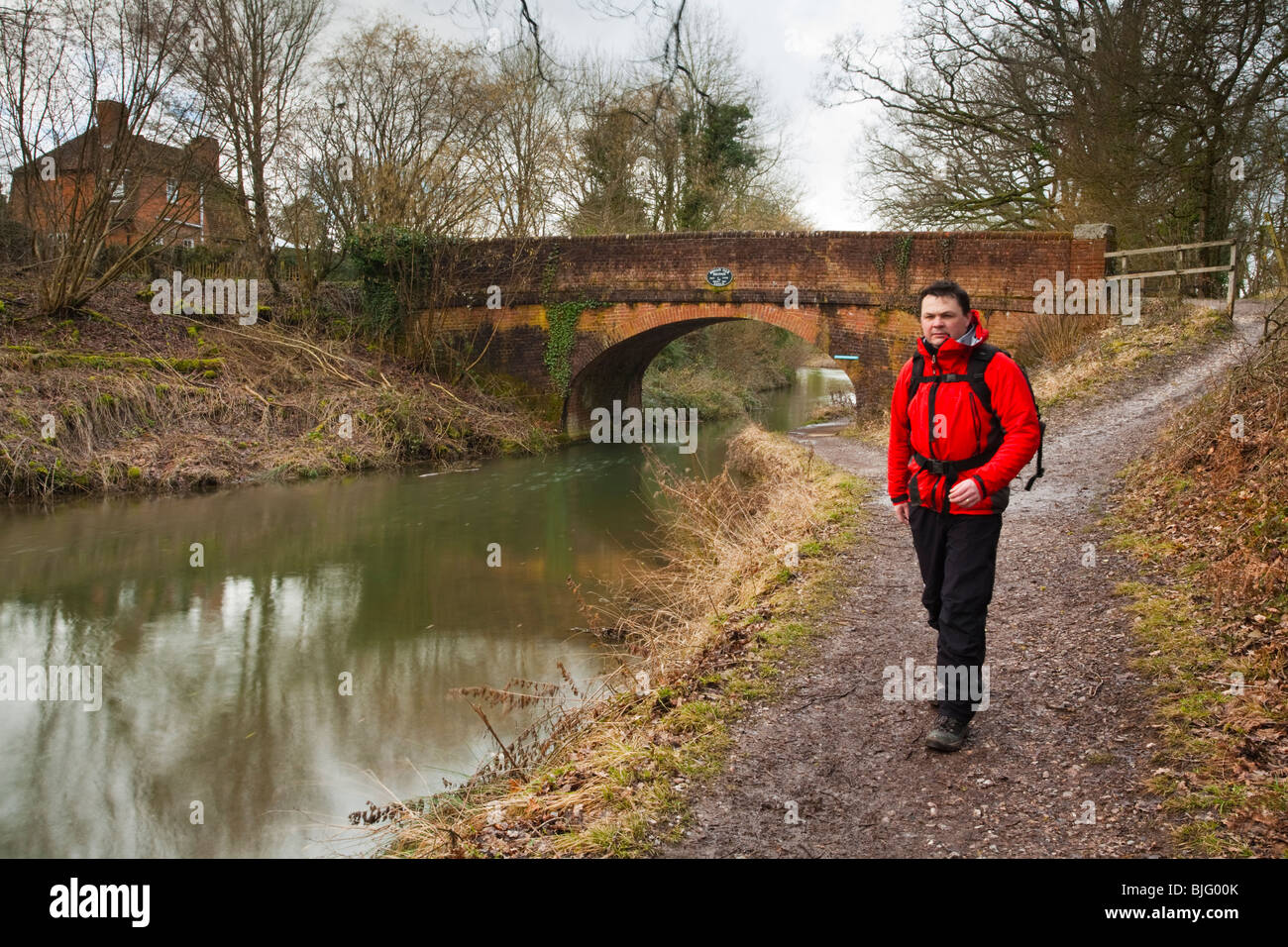 Male walker on the towpath of the Basingstoke Canal by Broak Oak Bridge ...