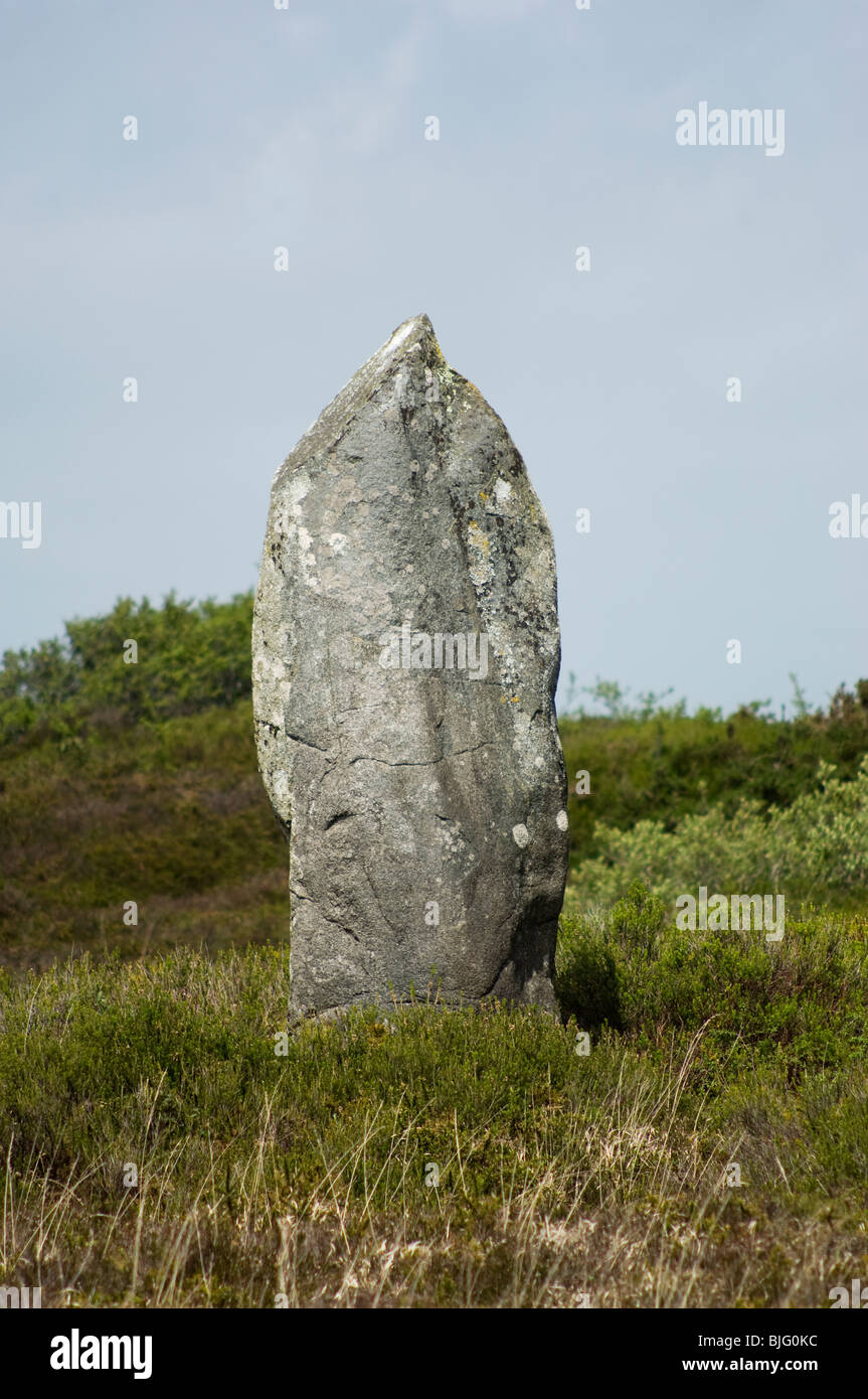 Menhir monolith megalith stone hi-res stock photography and images - Alamy