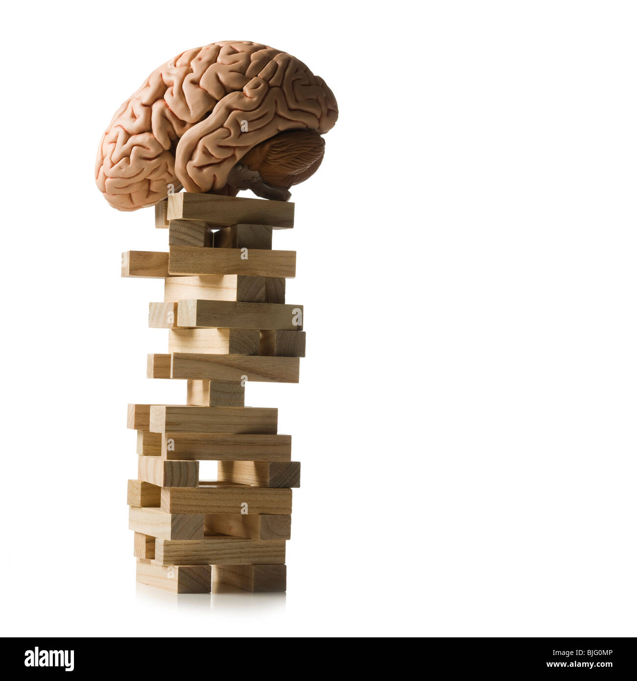 Large brain hi-res stock photography and images - Alamy