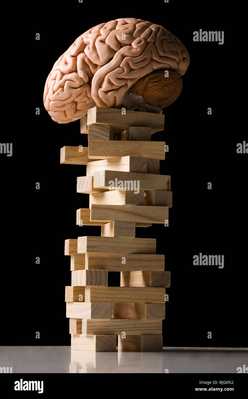 Large brain hi-res stock photography and images - Alamy
