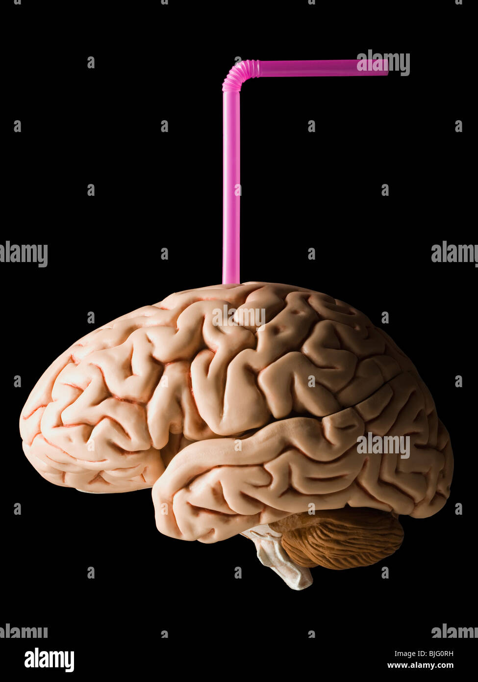 Brain food hi-res stock photography and images - Alamy