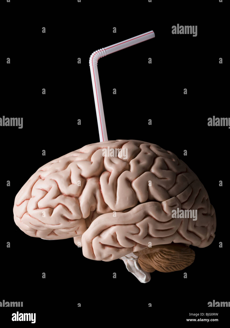 Brain food hi-res stock photography and images - Alamy