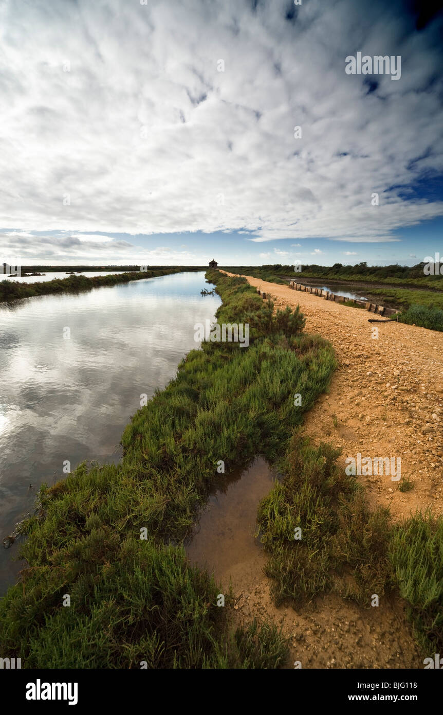 The Odiel Marshes is a protected natural area in Huelva, Spain Stock ...