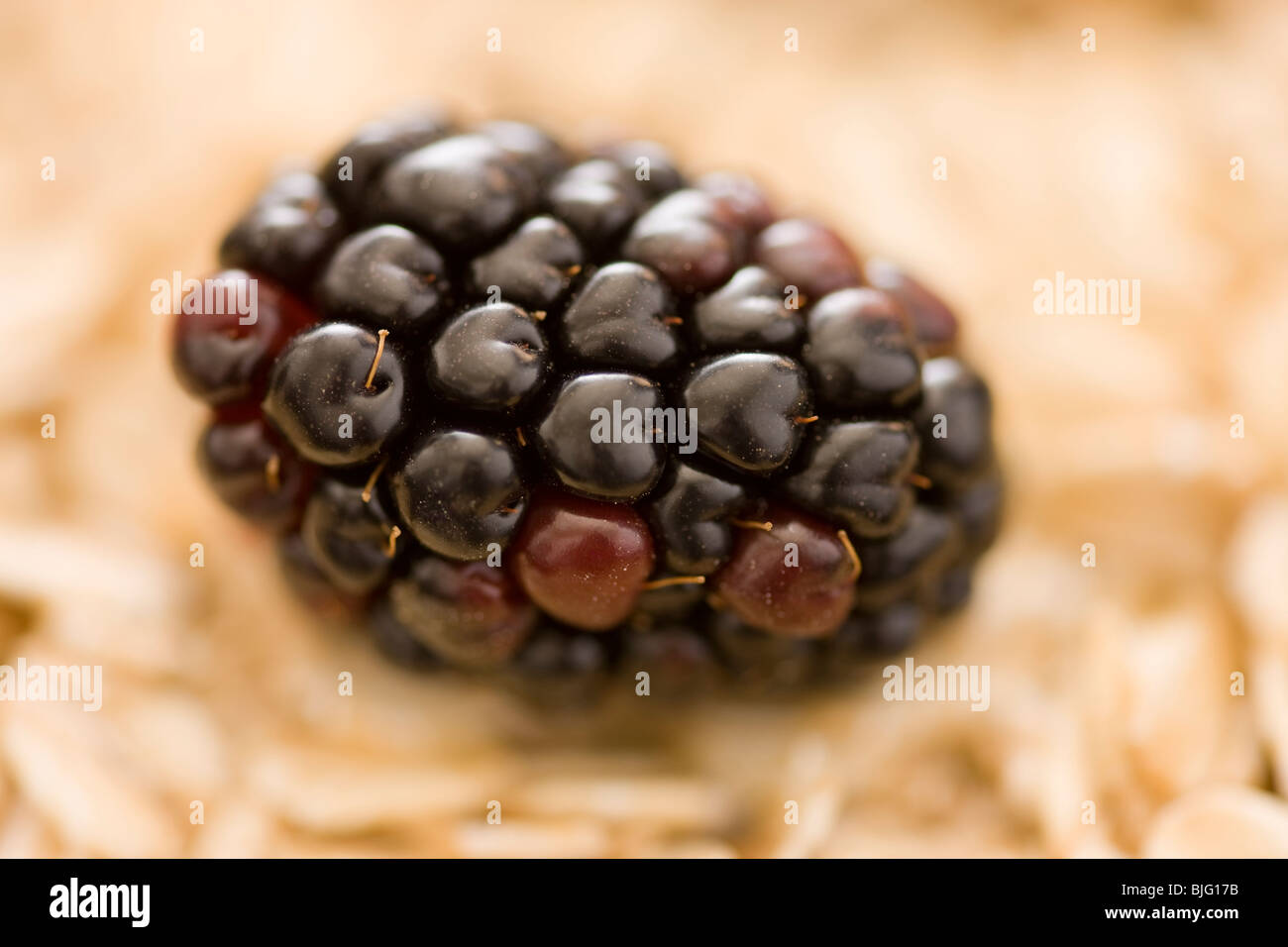 Boysenberry color hi-res stock photography and images - Alamy