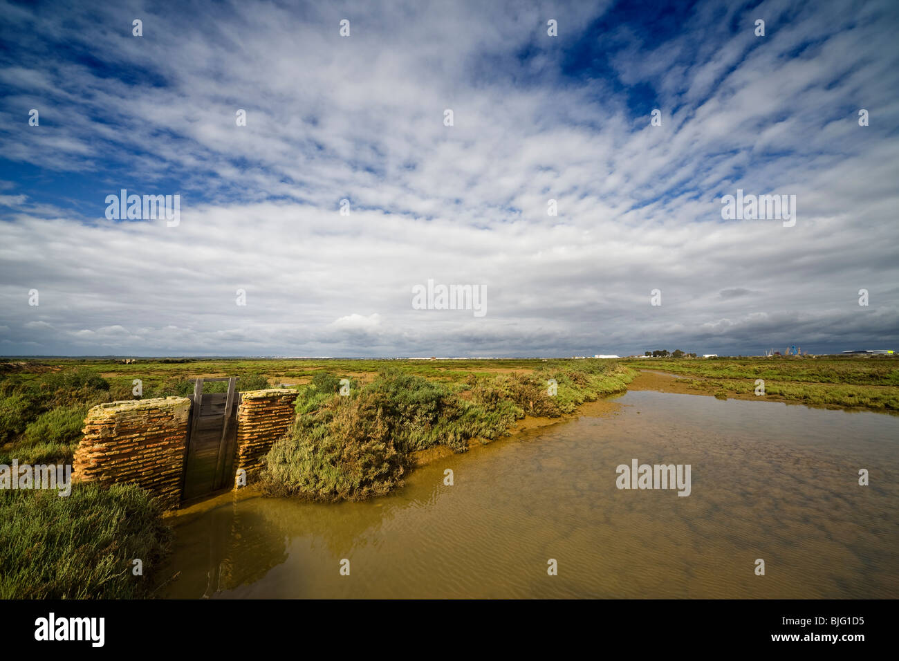 The salt marshes of the Odiel still preserve their structure Stock ...