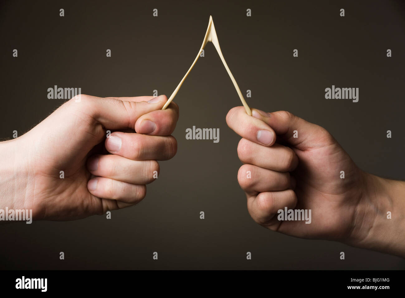 hands breaking a wishbone Stock Photo - Alamy