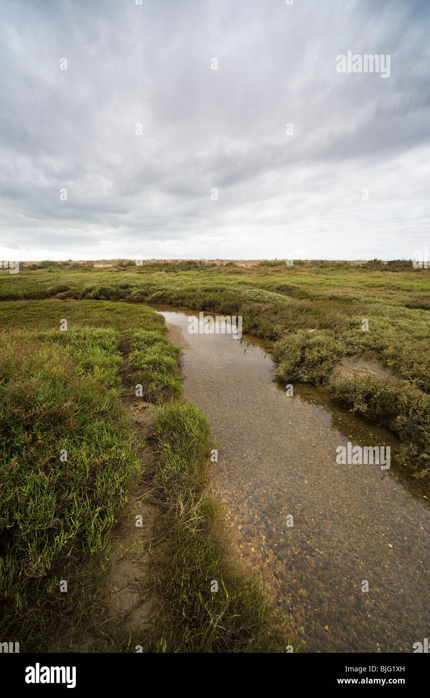 Odiel marshes huelva hi-res stock photography and images - Alamy