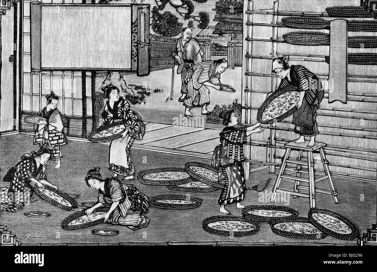 Sorting cocoons hi-res stock photography and images - Alamy