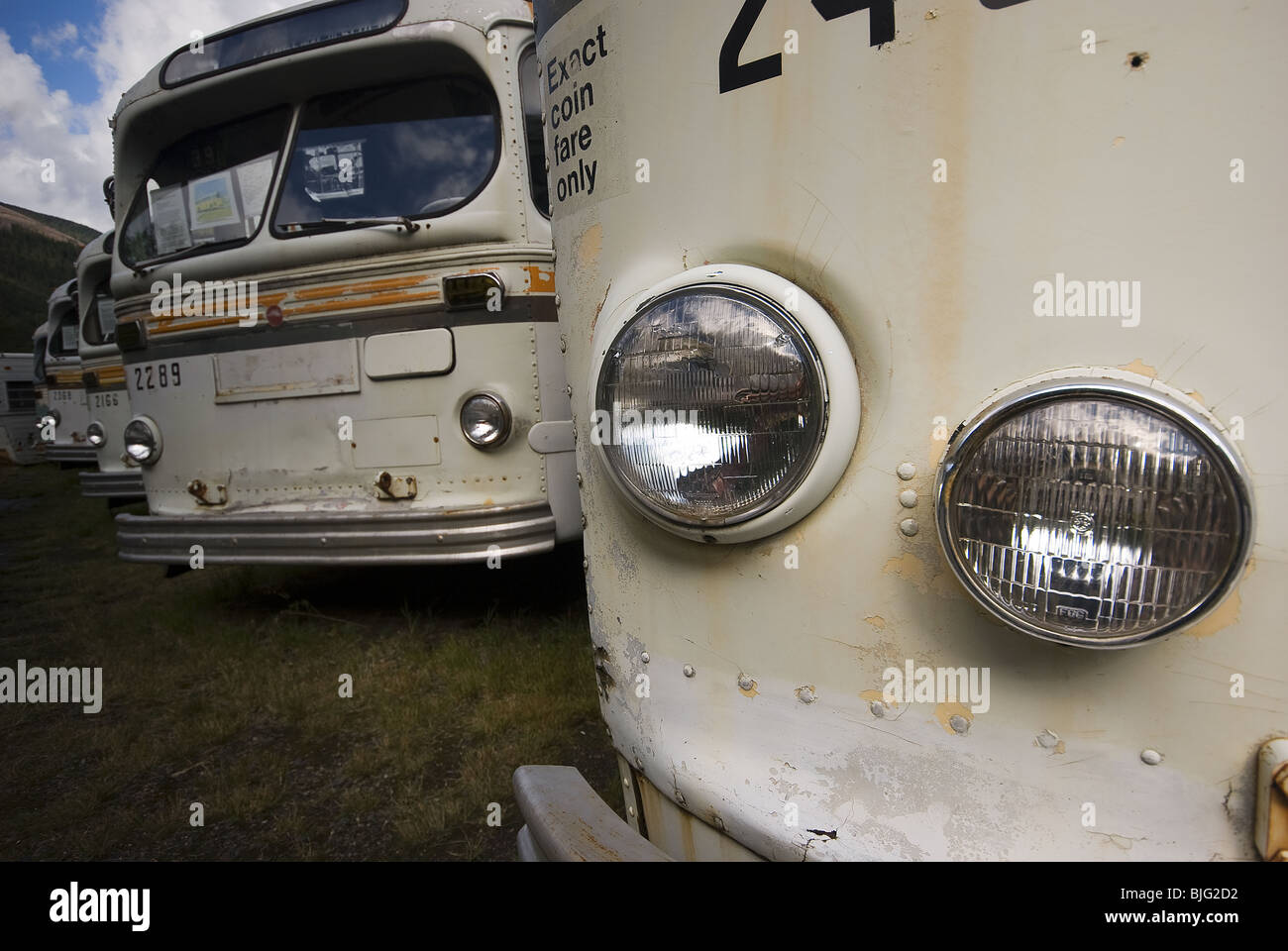 An old Canadian Electric Bus or Brill Stock Photo - Alamy