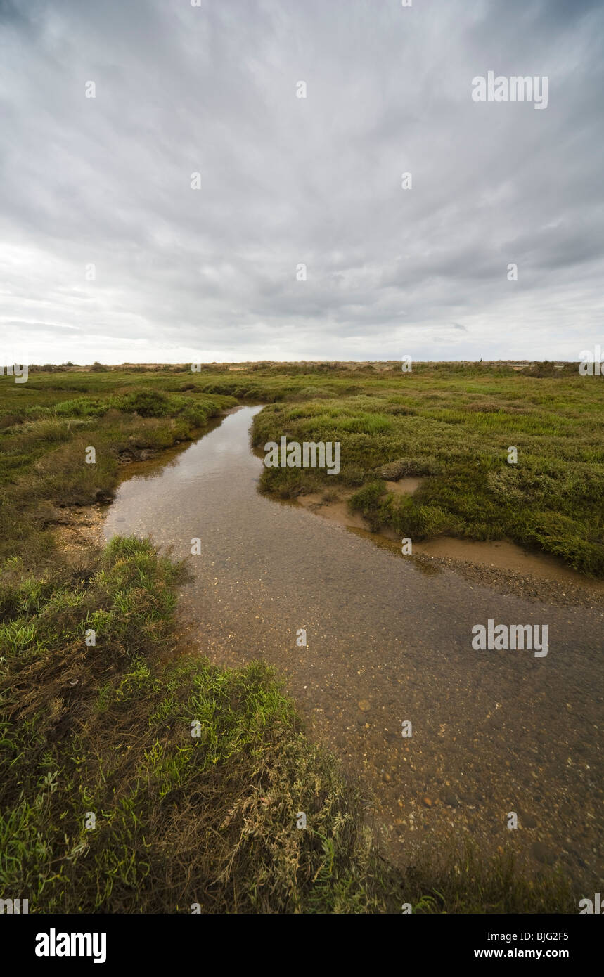 Ancient channels of the salt water of the Odiel marshes, Huelva, Spain ...