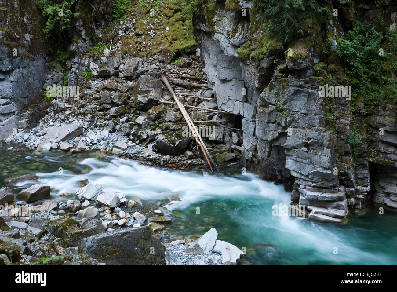 Clean stream running in a ravine Stock Photo - Alamy