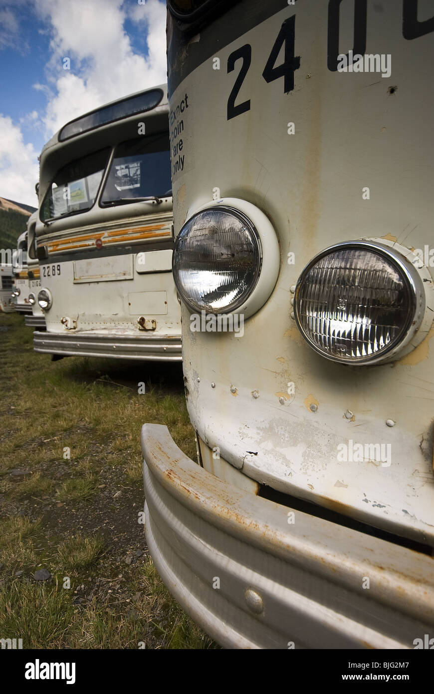 An old Canadian Electric Bus or Brill Stock Photo - Alamy