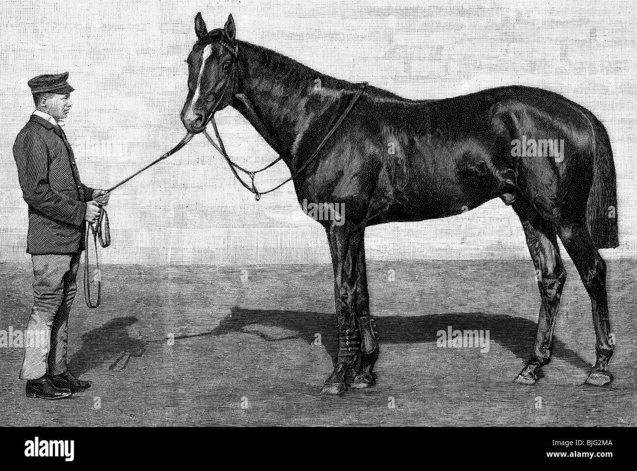 19th century horse racing hi-res stock photography and images - Alamy