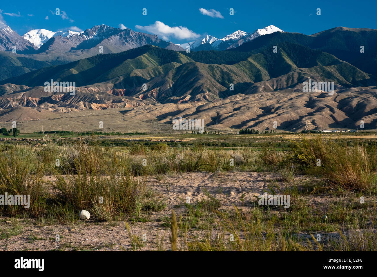 Landscape with dry plain in front and snow capped mountains in the back ...