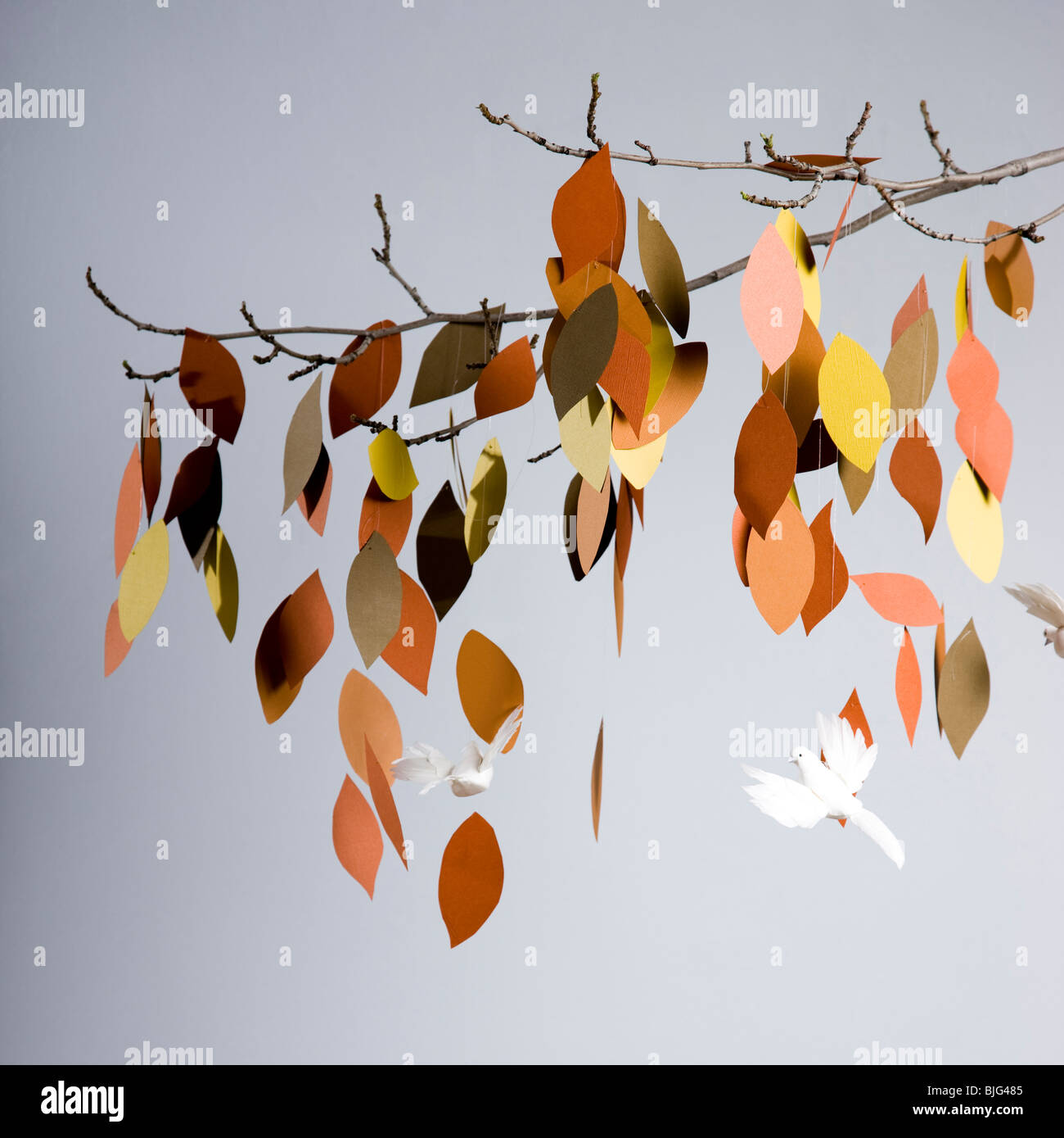 birds flying around a tree branch Stock Photo - Alamy