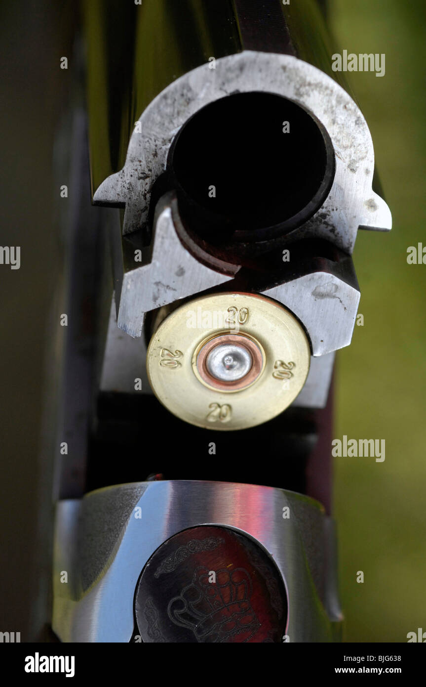 close up of detail on a shotgun with a loaded cartridge in barrel Stock ...