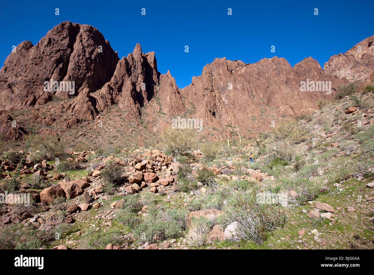 Volcanic Rhyolite, KOFA Wildlife Refuge, Arizona Stock Photo - Alamy