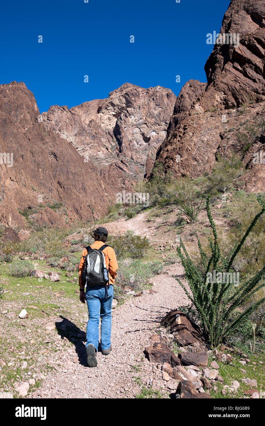 Hiking the trail that leads to Palm Canyon, KOFA Wildlife Refuge ...