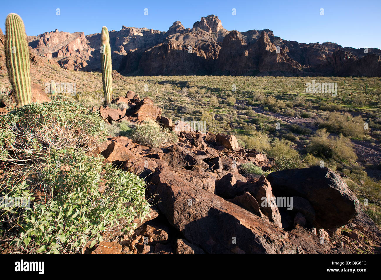Kofa mountains hi-res stock photography and images - Alamy