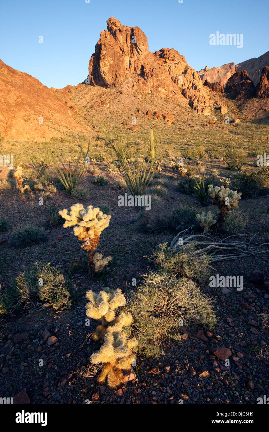 Rugged Beauty of the KOFA Mountains, KOFA Wildlife Refuge, Arizona ...