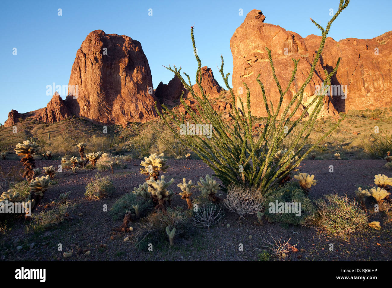 Rugged Beauty of the KOFA Mountains, KOFA Wildlife Refuge, Arizona ...