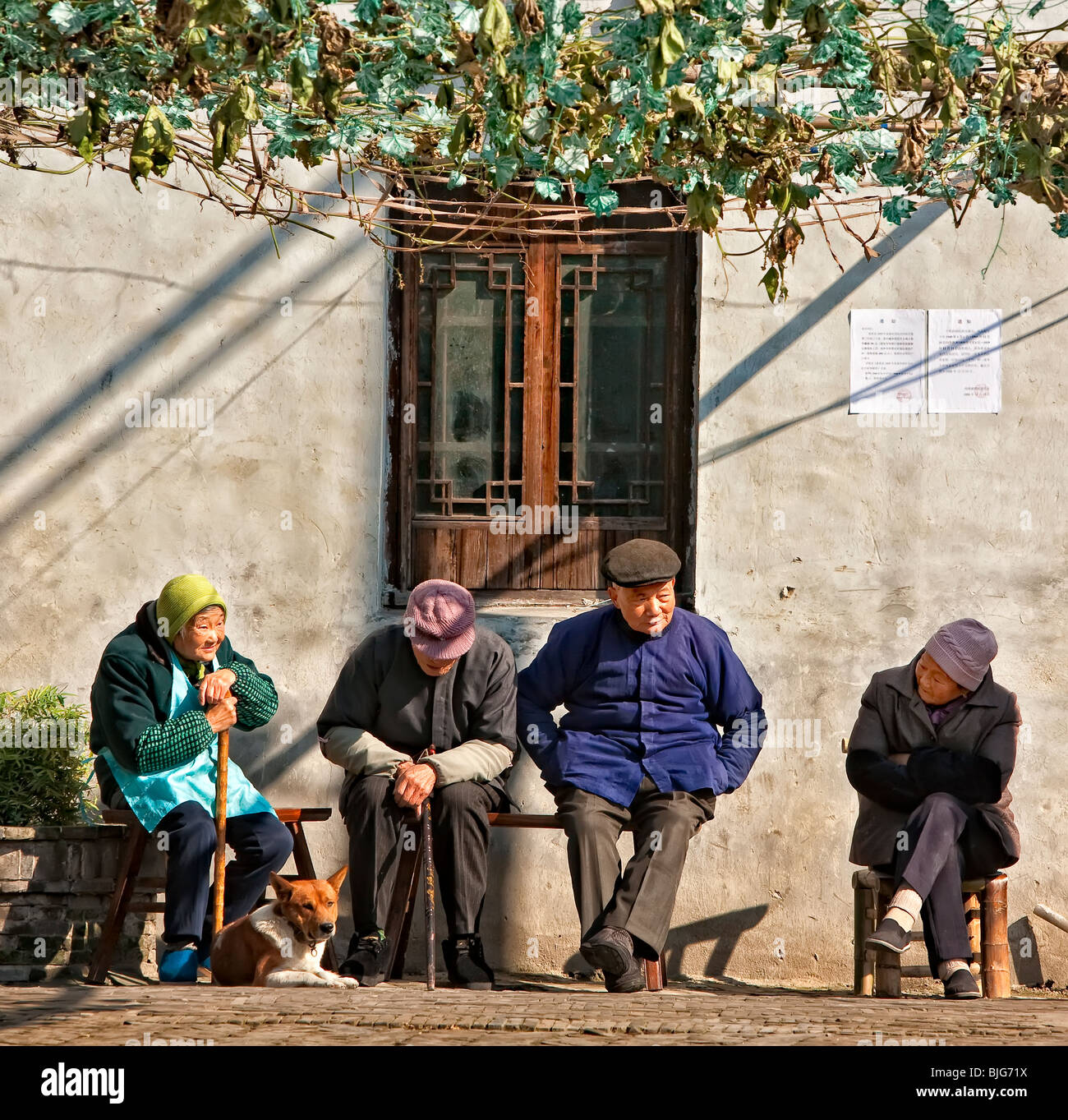Elderly chinese people sitting chatting hi-res stock photography and ...