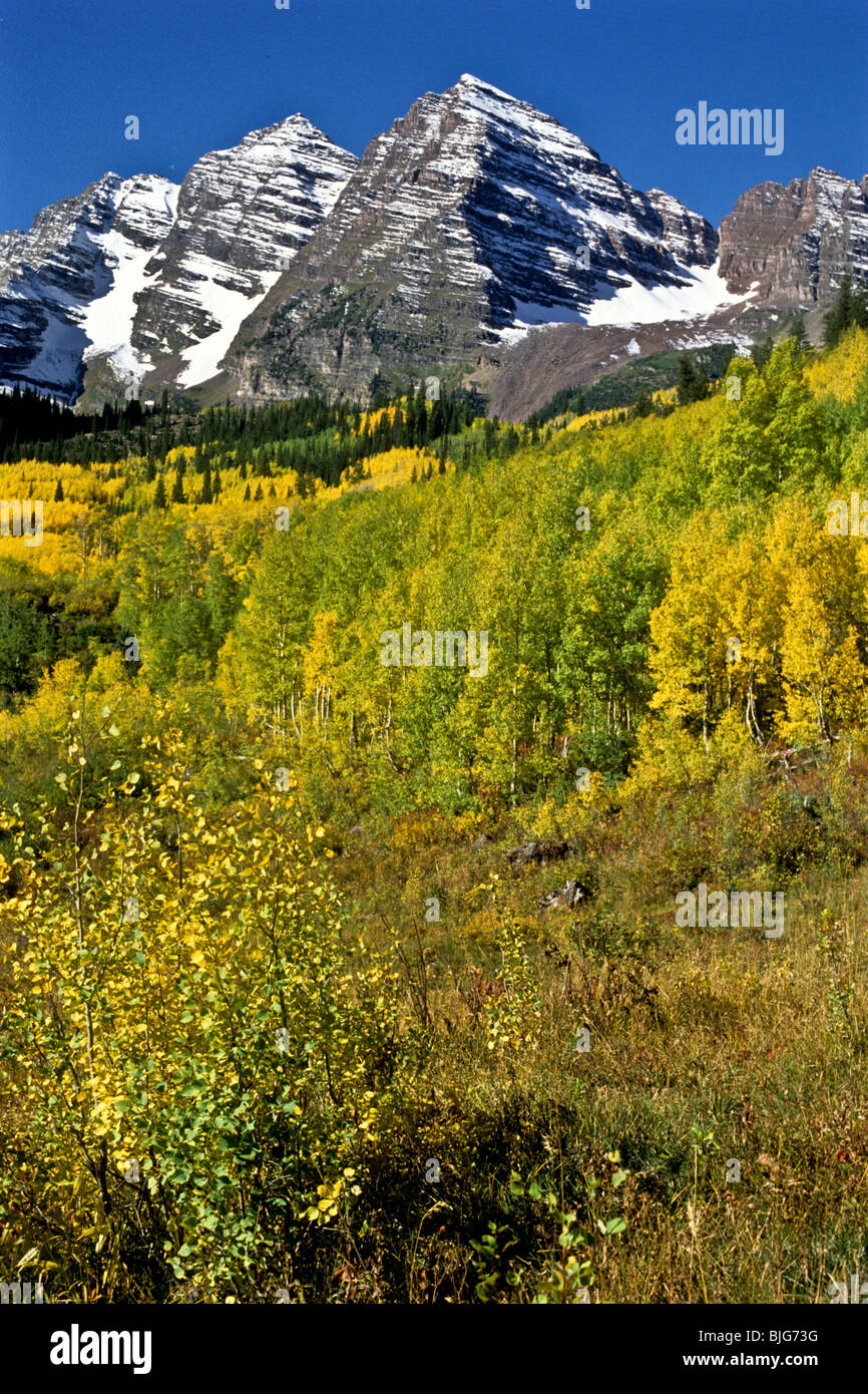 Fall colors highlight Maroon Bells Aspen Colorado USA Stock Photo - Alamy