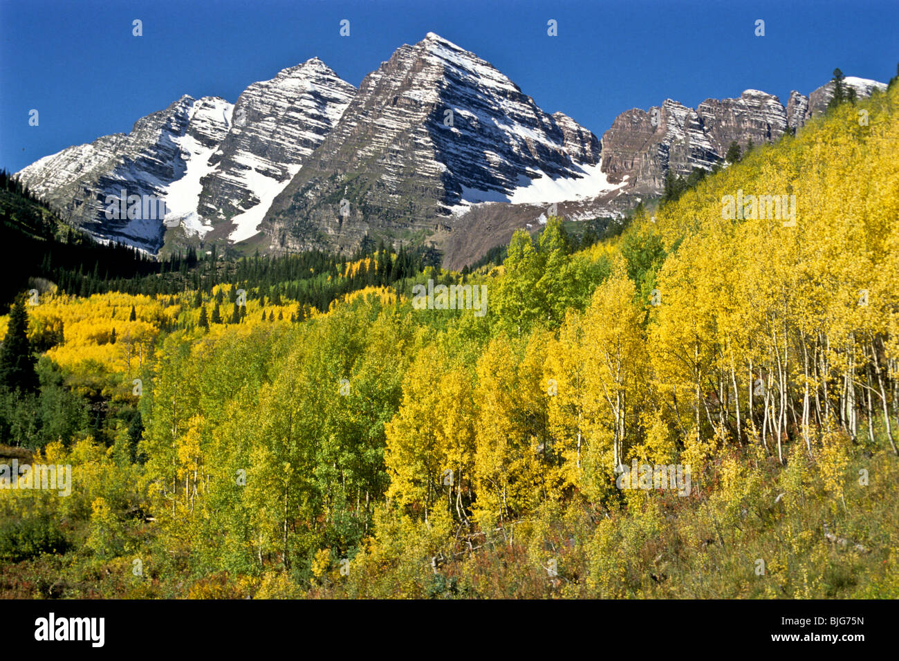 Fall colors highlight Maroon Bells Aspen Colorado USA Stock Photo - Alamy