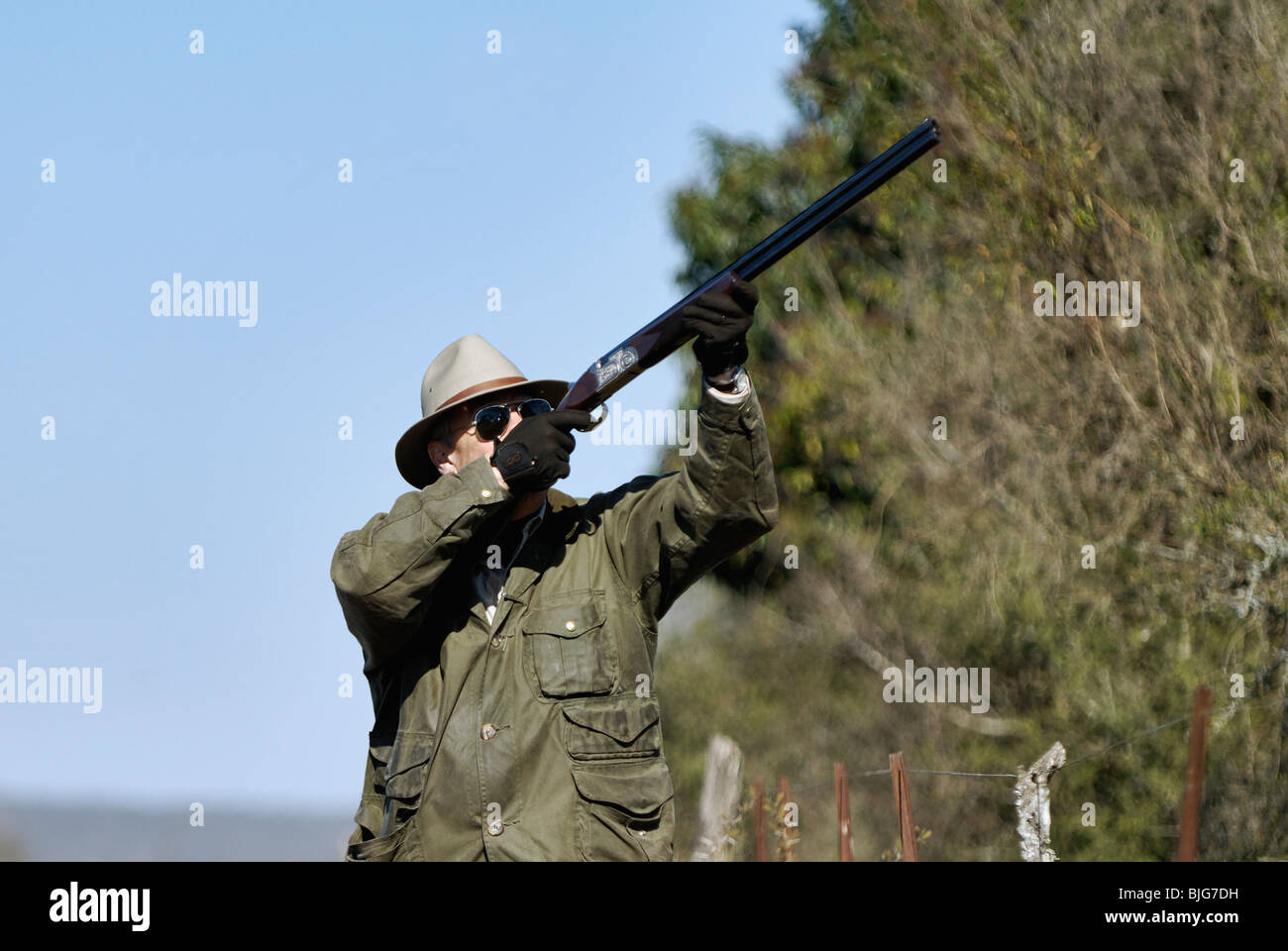 Dove shooting argentina hi-res stock photography and images - Alamy