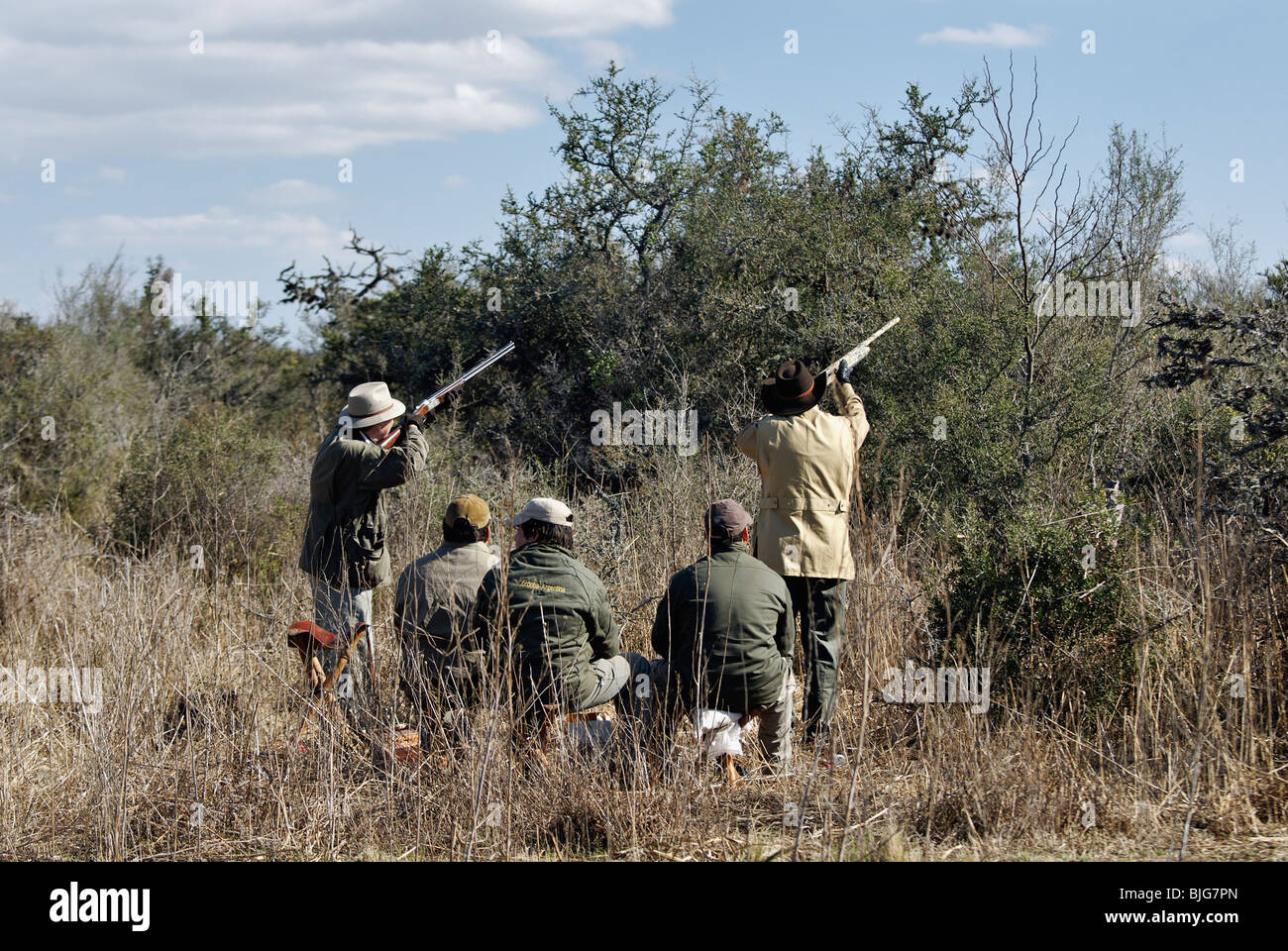 Dove shooting argentina hi-res stock photography and images - Alamy