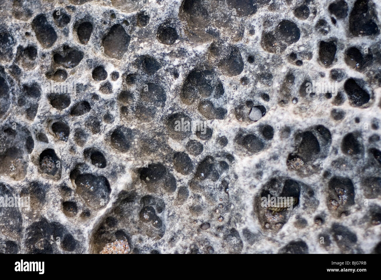 Rock Avalon Beach, Australia Stock Photo - Alamy