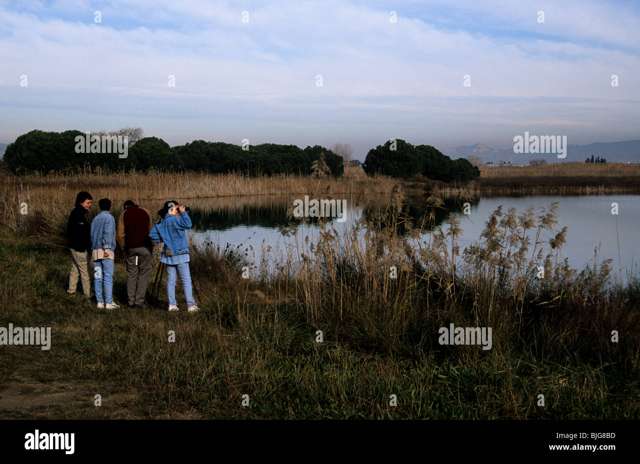 Vidala hi-res stock photography and images - Alamy