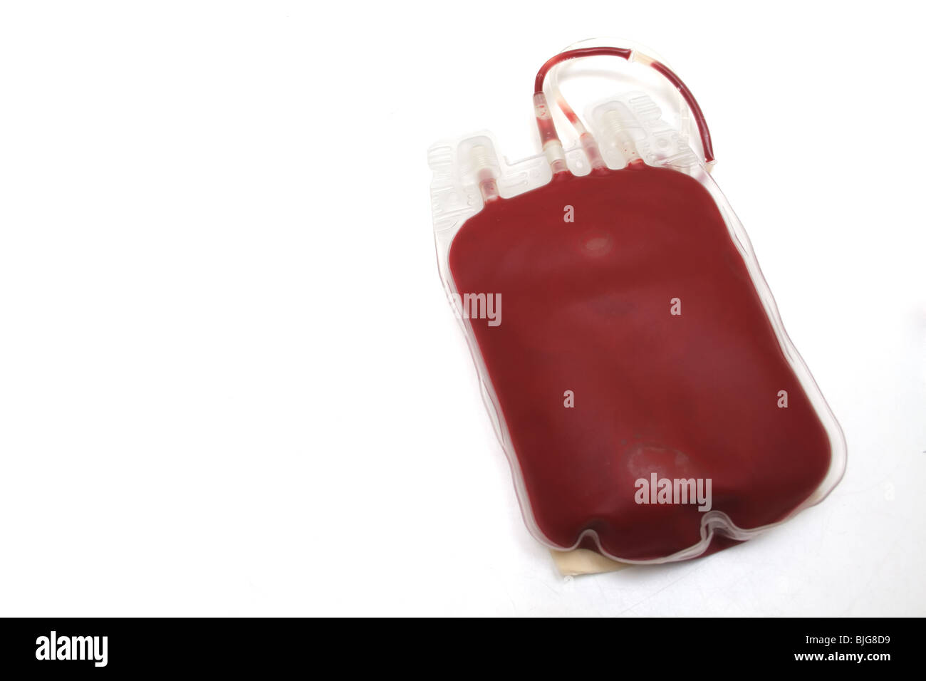 Filled blood bag on white background. Donating concept Stock Photo - Alamy