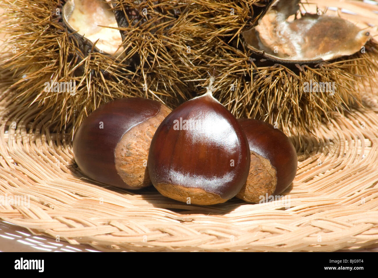 Sweet chestnuts on white background Stock Photo - Alamy