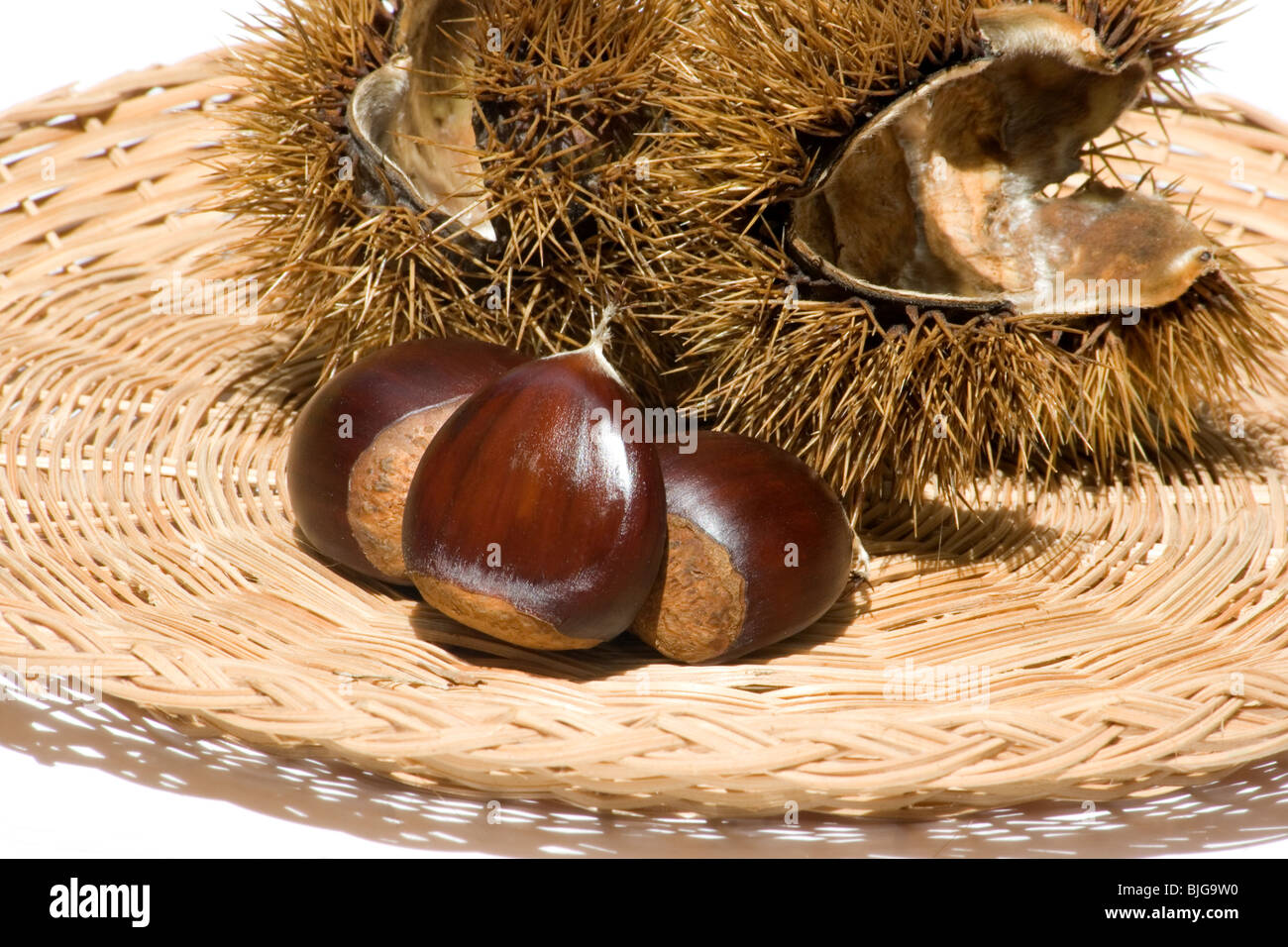 Chestnuts gold hi-res stock photography and images - Alamy