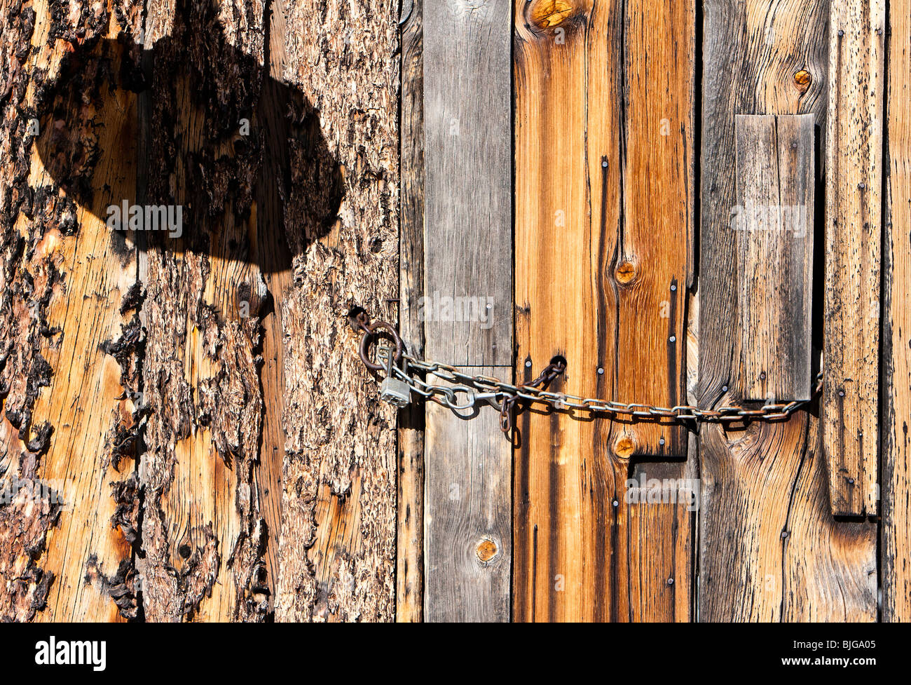 Textured wood on an old cabin in Guffey, Colorado, USA Stock Photo - Alamy