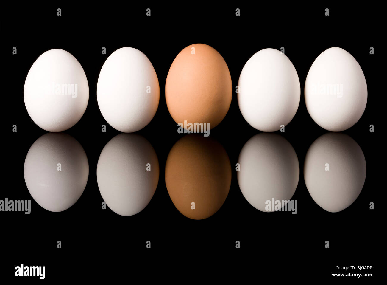 Series of eggs hi-res stock photography and images - Alamy